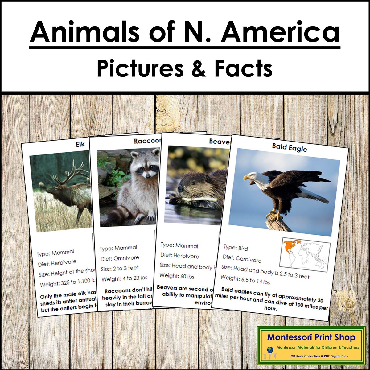 Animals of North America Facts & Picture Cards color-coded Montessori ...