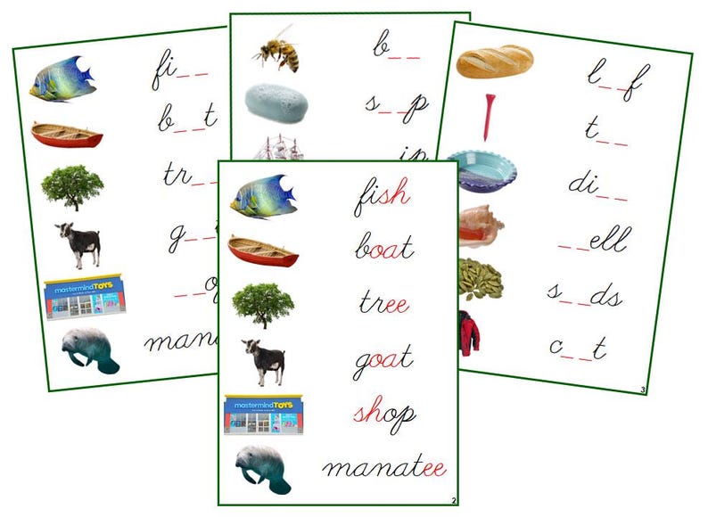 Montessori Cursive Green Phonetic Language Series Bundle [PHOTOS ...