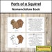 Parts of a Squirrel Nomenclature Book - Montessori Zoology (digital ...