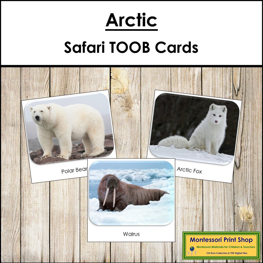 Arctic Safari TOOB Cards - Montessori 3-part Cards (digital Download ...