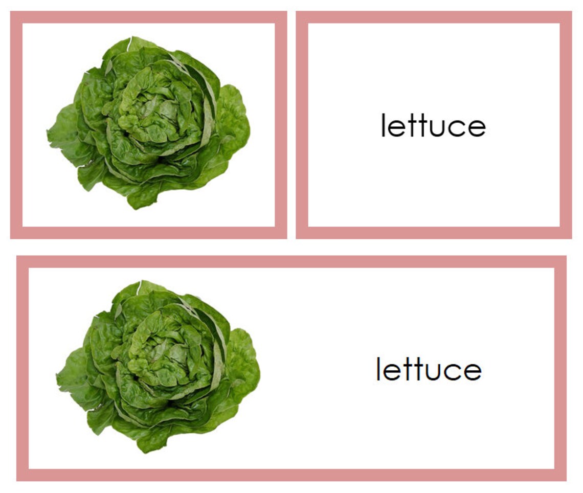 Words & Picture Cards Bundle Primary Language Printable | Etsy