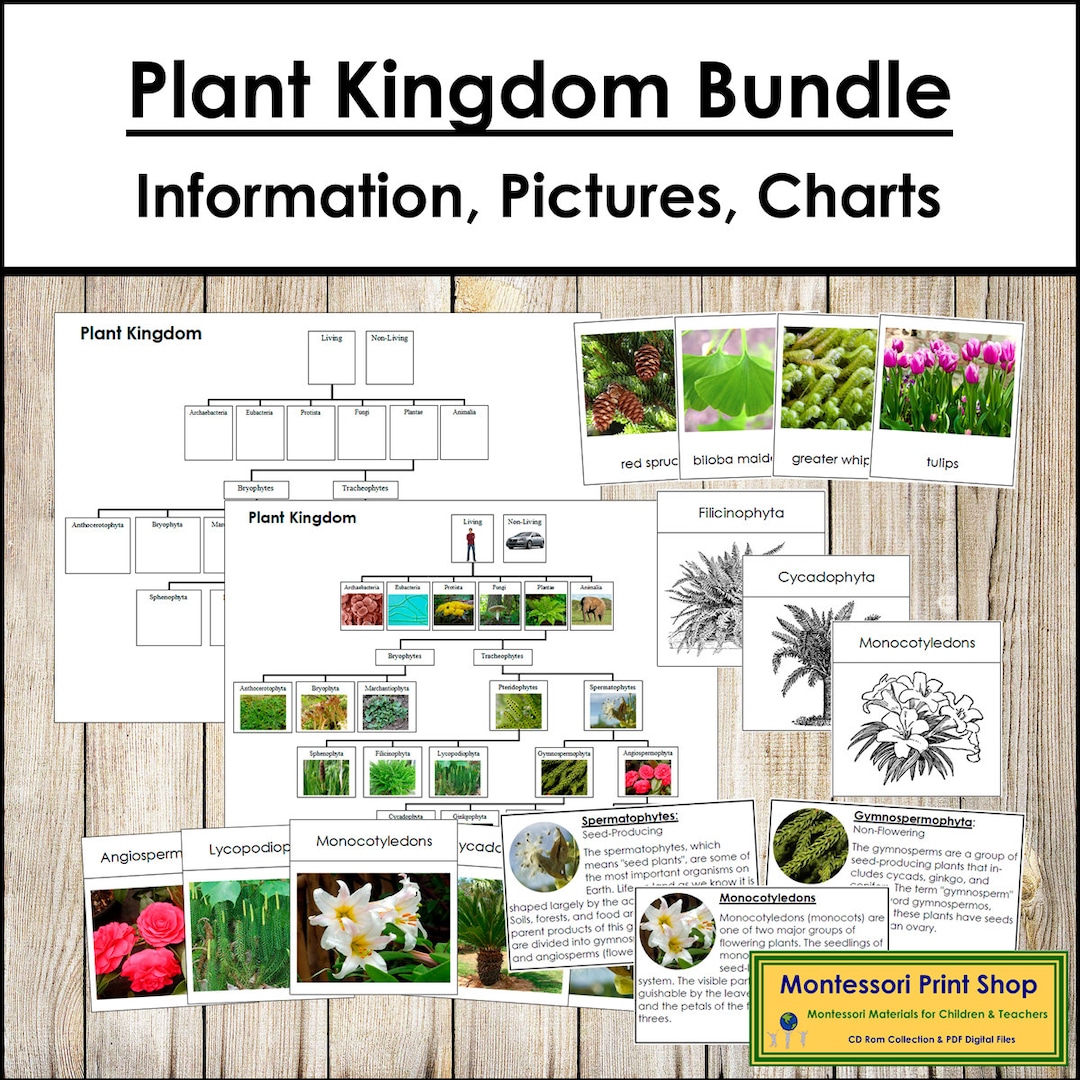 Montessori Plant Kingdom Charts & Cards Bundle - Botany (digital ...