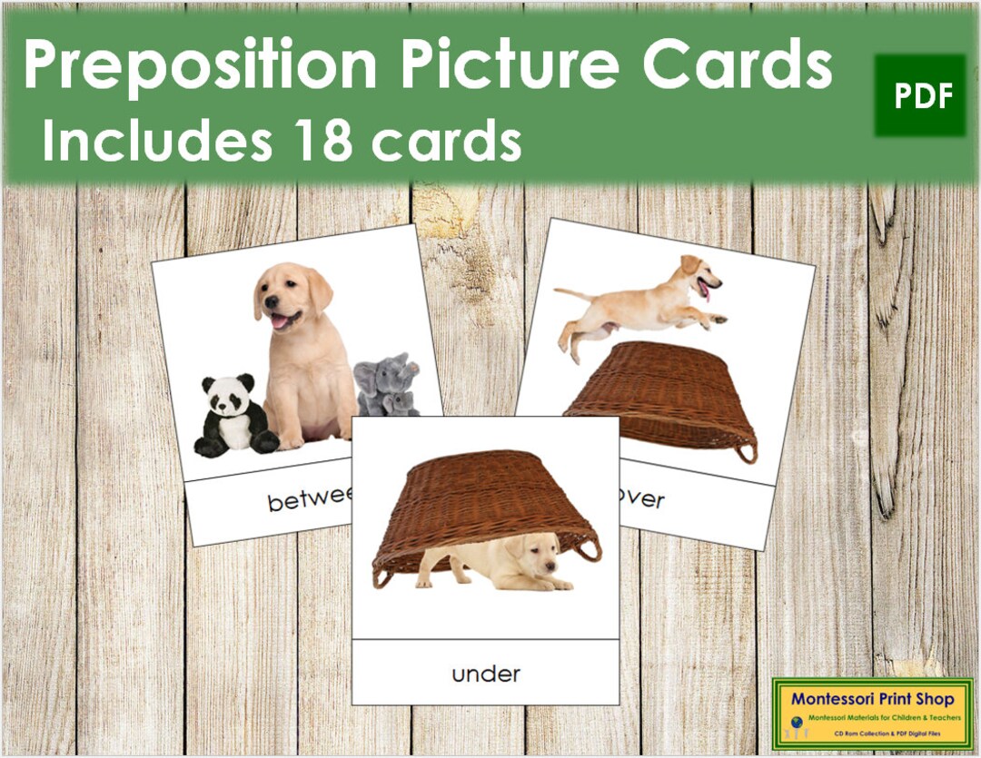 Preposition Picture Cards dog Montessori Language & - Etsy