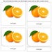 Fruits & Vegetables Safari TOOB Cards - Montessori 3-part Cards ...