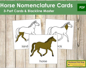 Parts of a Horse Montessori - Etsy