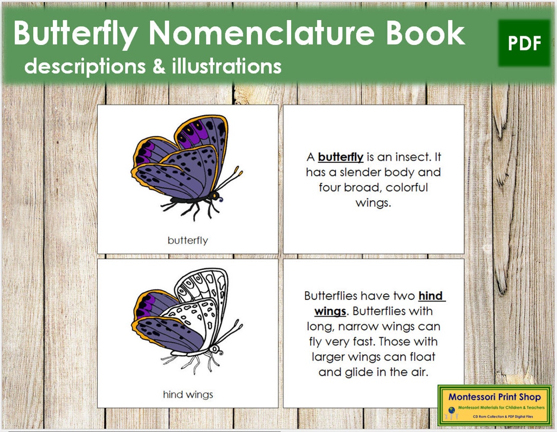 Parts of a Butterfly Nomenclature Book Montessori Zoology - Etsy