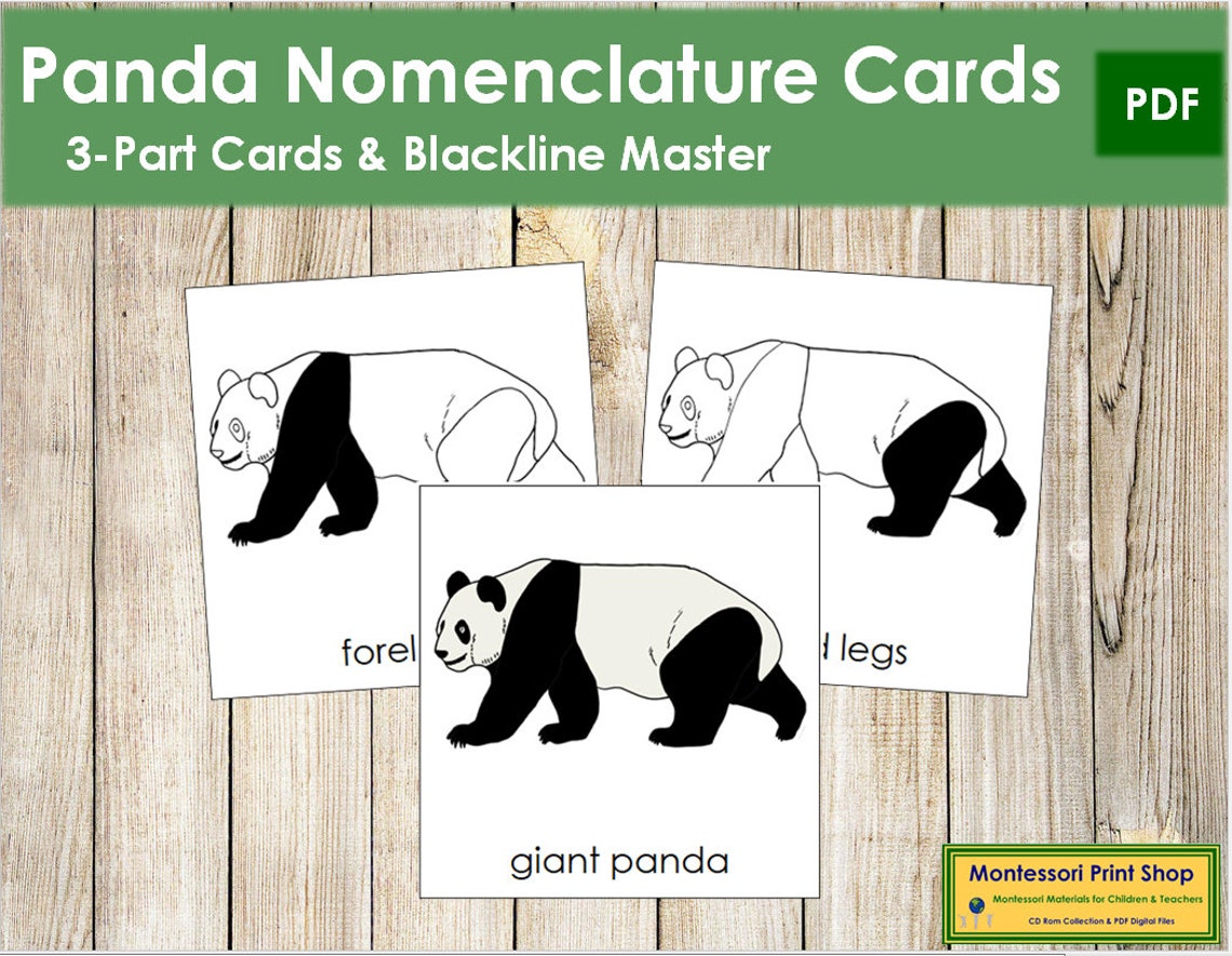 Parts of a Giant Panda Nomenclature 3-part Cards Montessori - Etsy