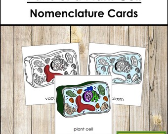 Parts of a Plant Cell 3 Part Cards - Etsy