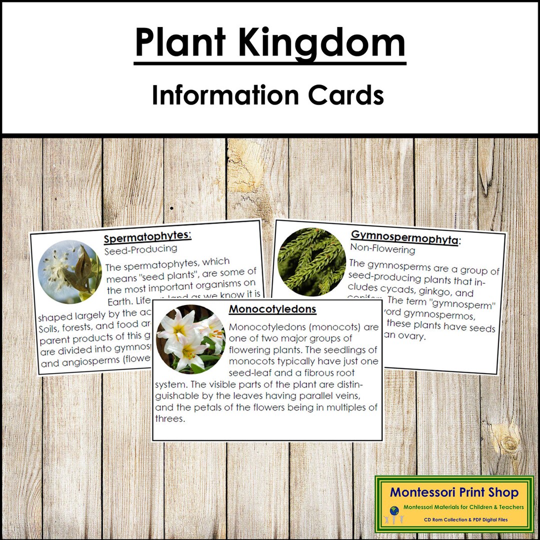 Plant Kingdom Information Cards - Montessori Botany Classification ...