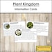 Plant Kingdom Information Cards - Montessori Botany Classification ...