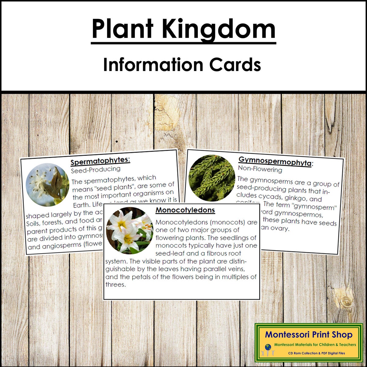 Plant Kingdom Information Cards Montessori Botany Printable Montessori ...
