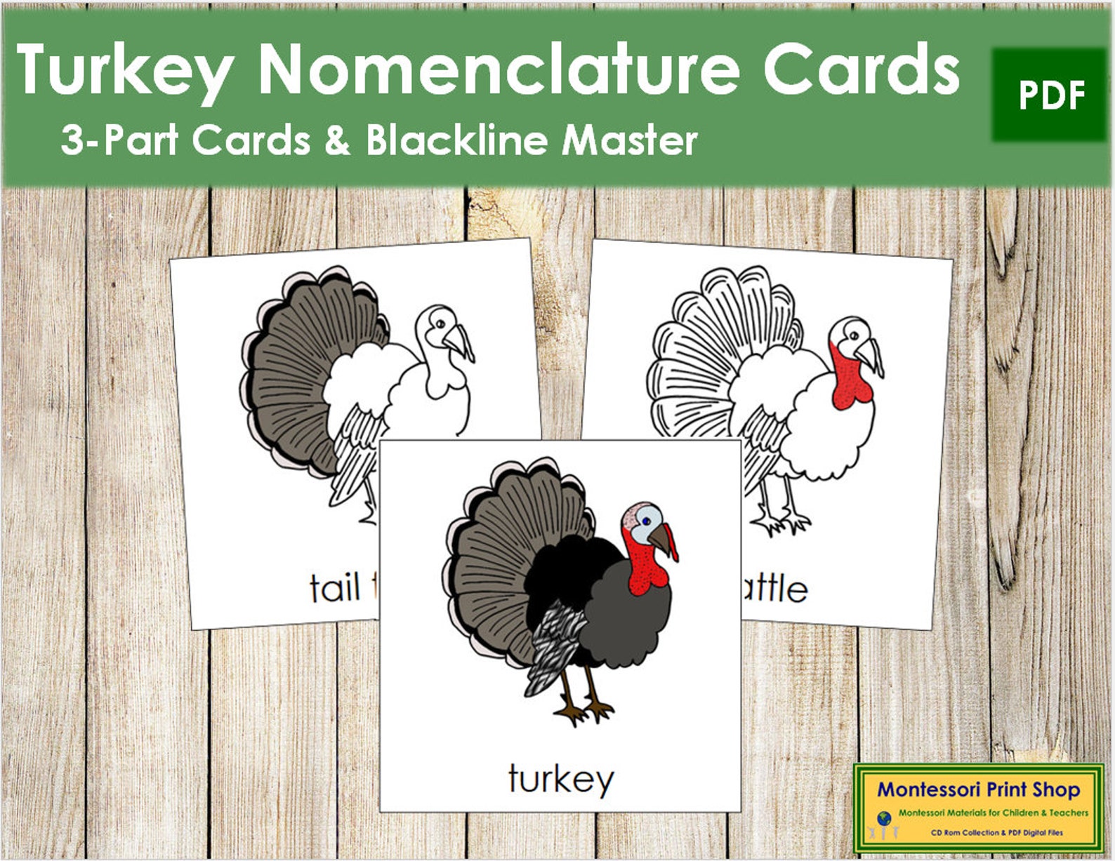 Parts of a Turkey Nomenclature 3-part Cards Montessori - Etsy