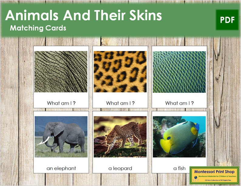 Animals and Their Skin Matching Cards Zoology Printable - Etsy