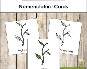Parts of a Tree Nomenclature Cards 10 Montessori 3 Part Cards 10 ...