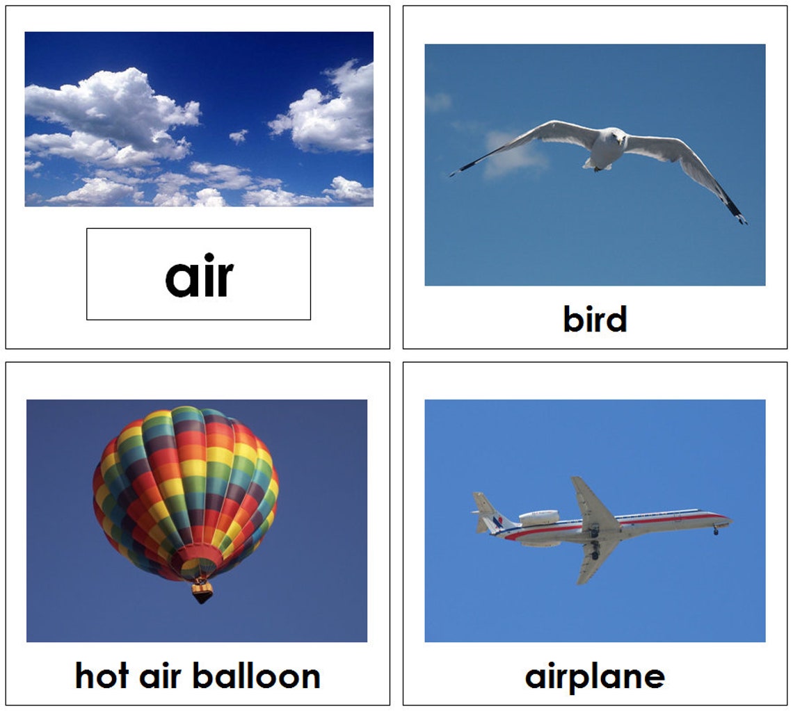 Air Land & Water Sorting Cards Printable Toddler Montessori | Etsy