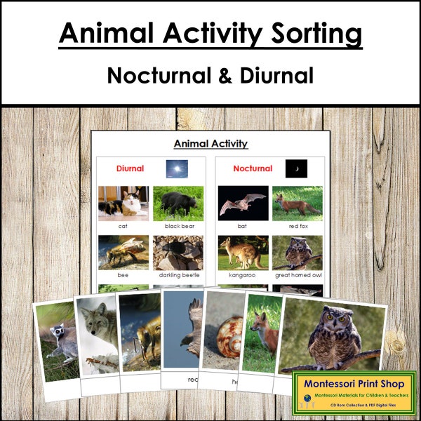 Nocturnal Animal - Etsy