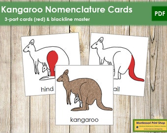 Parts of a Turkey Nomenclature Book Montessori Zoology - Etsy