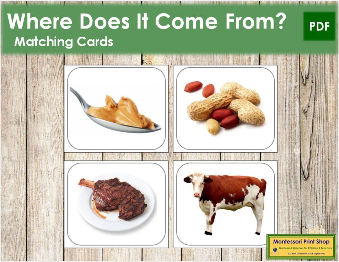Where Does It Come From Set 2 Science Printable - Etsy