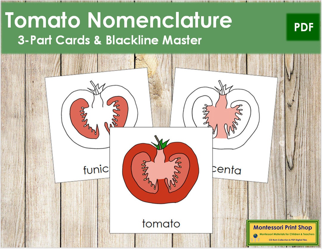 Parts of a Tomato Nomenclature 3-part Cards Montessori - Etsy