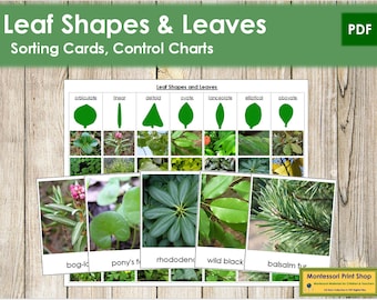 Leaf Montessori - Etsy