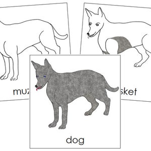 Parts of a Dog Nomenclature 3-part Cards & Blackline Master ...
