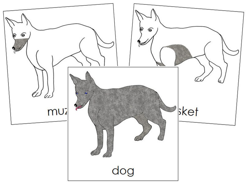 Parts of a Dog Nomenclature 3-part Cards Montessori Zoology - Etsy