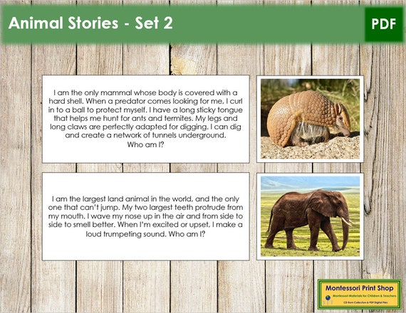 Animal Stories Set 2 Zoology Printable Montessori Cards | Etsy