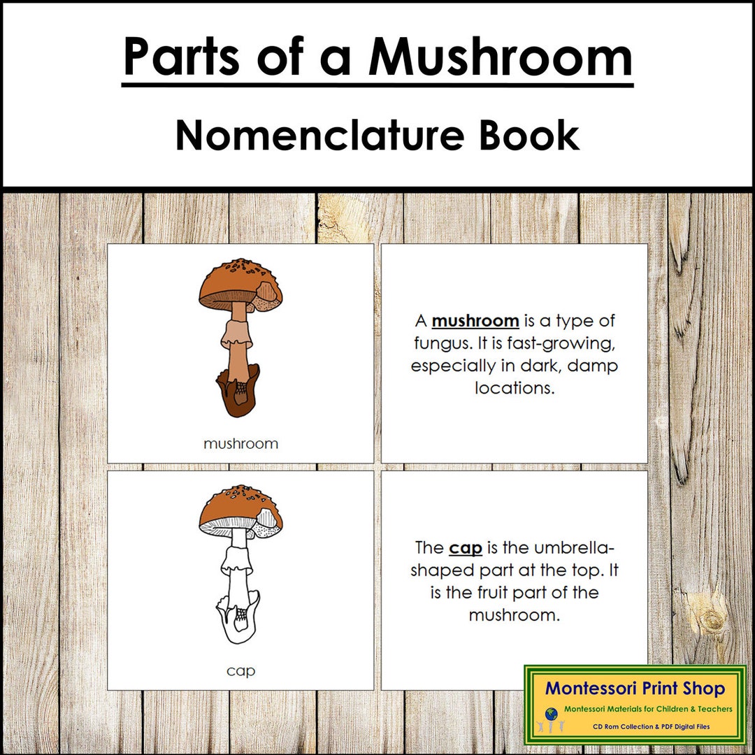 Parts of a Mushroom Nomenclature Book - Montessori Botany - Printable ...