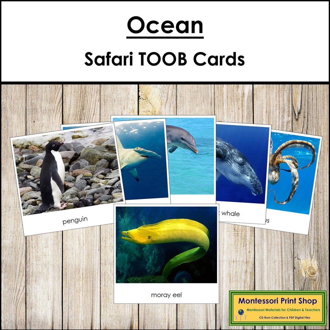 Ocean Safari TOOB Cards - Montessori 3-part Cards (digital Download) - Etsy