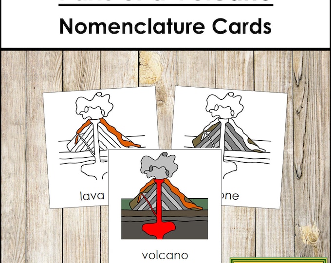 Parts of a Human Skeleton Nomenclature 3-part Cards - Science ...