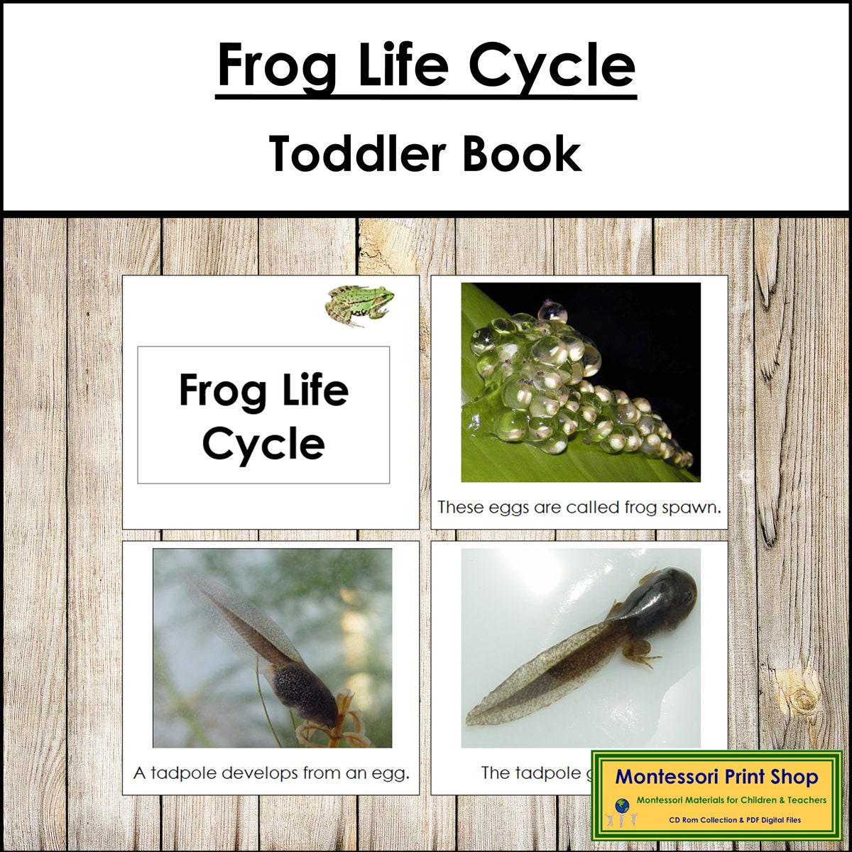 Frog Life Cycle Book Printable Toddler Montessori Materials Digital ...