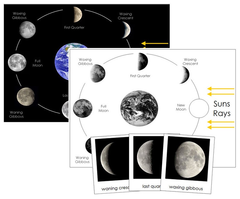 Phases of the Moon Cards & Charts - Montessori Nomenclature - Science ...