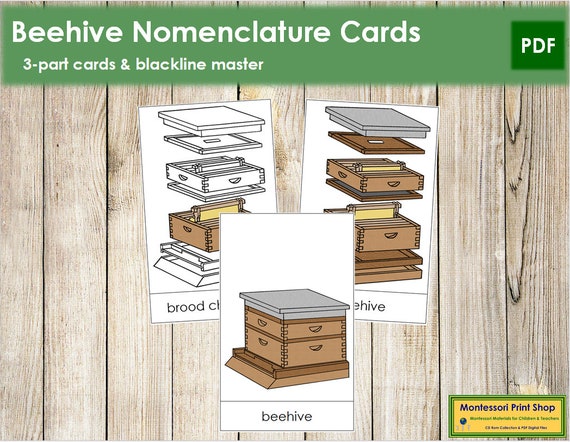 Parts of a Beehive Nomenclature 3-part Cards Printable - Etsy