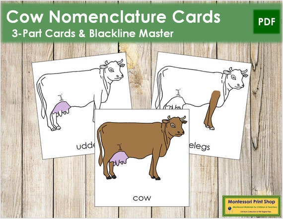 Parts of a Cow Nomenclature 3-part Cards Montessori Zoology - Etsy ...