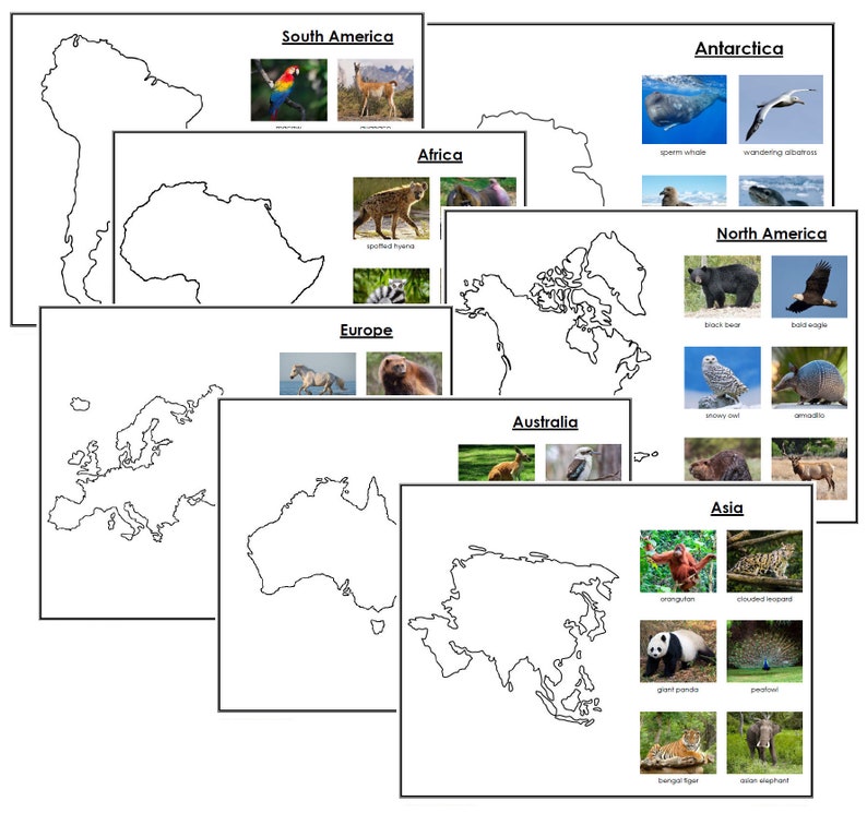 Animals of the Continents Sorting Activity Set 2 - Montessori Geography ...