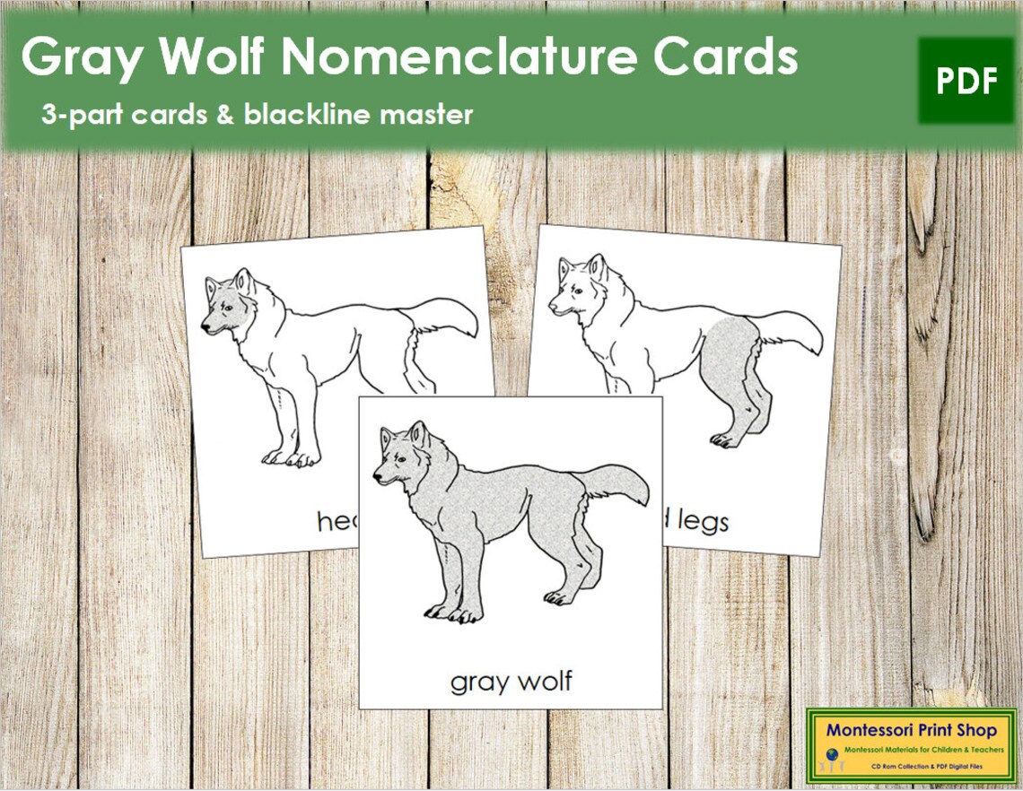 Parts of a Gray Wolf Nomenclature 3-Part Cards Montessori | Etsy