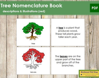 Parts of a Banana Nomenclature Book Montessori Botany | Etsy