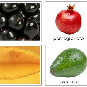 Fruit: Part to Whole Matching Cards - Preschool - Printable Montessori ...