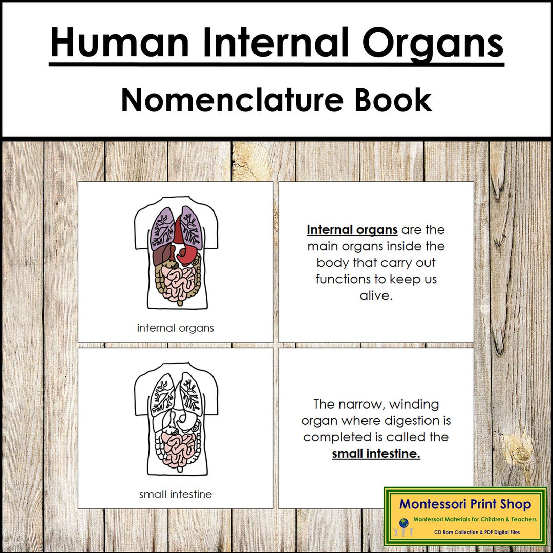 Human Internal Organs Nomenclature Book - Montessori Science (digital ...