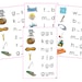 Montessori Pink Phonetic Language Series Bundle [CLIPART] - Primary ...