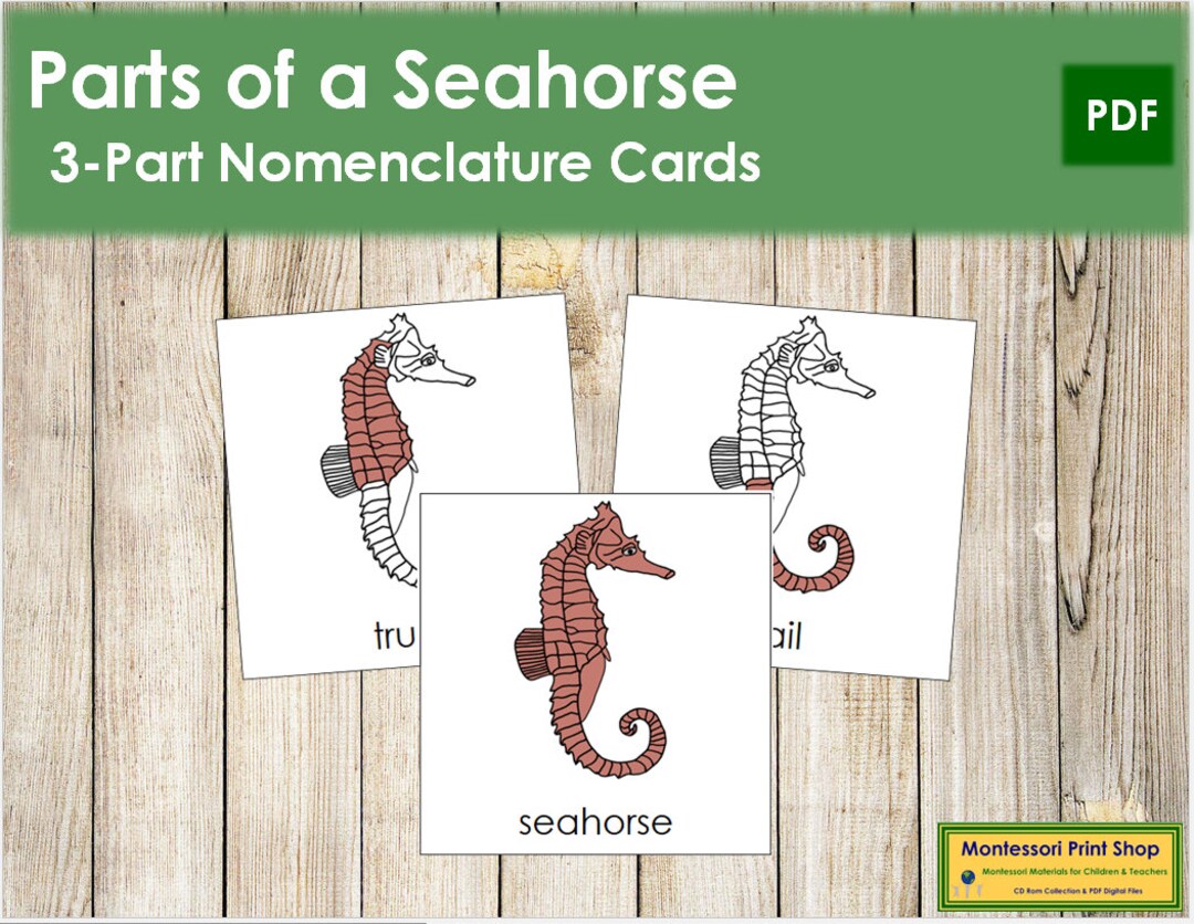 Parts of a Seahorse Nomenclature 3-part Cards Montessori - Etsy