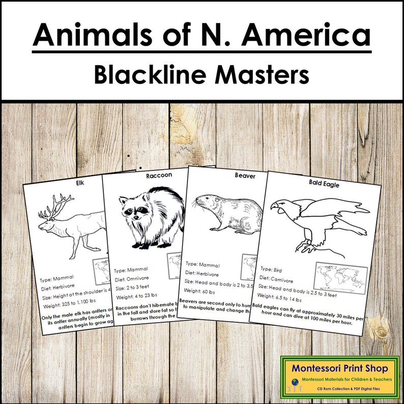 Animals of North America Facts & Picture Cards blackline Master ...