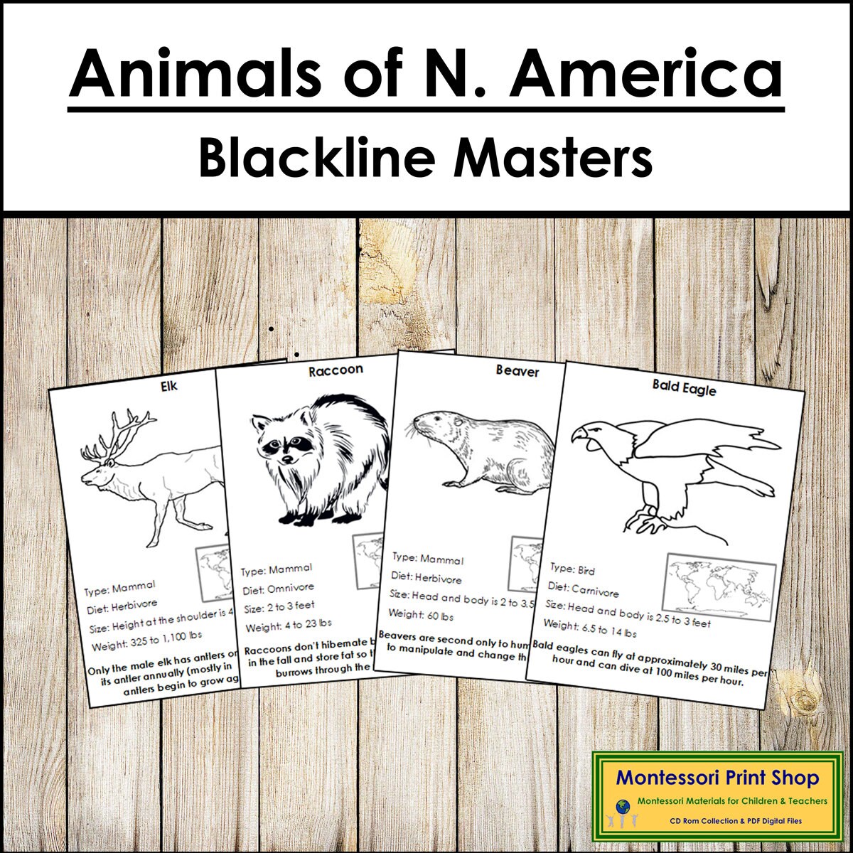 Animals of North America Facts & Picture Cards blackline Master ...