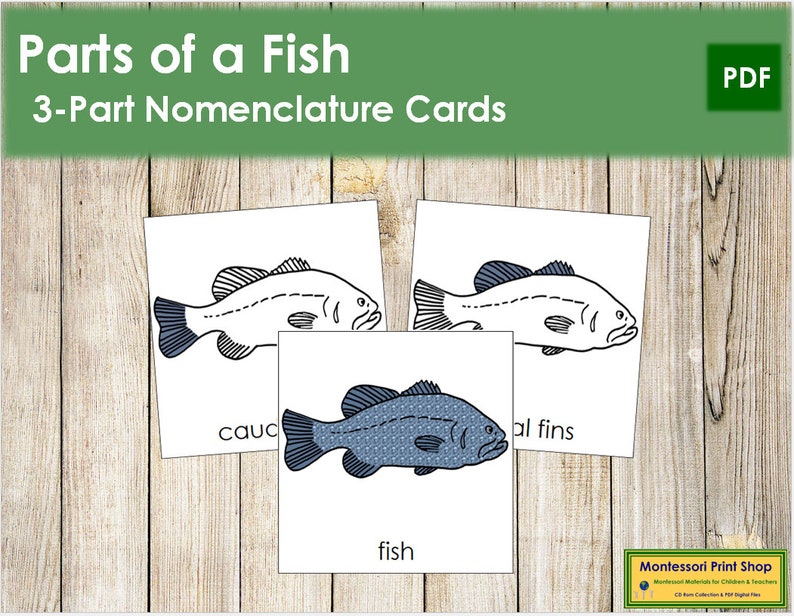 Parts of a Fish Nomenclature 3-part Cards Montessori Zoology - Etsy
