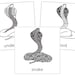 Parts of a Snake Nomenclature 3-part Cards & Blackline Master ...