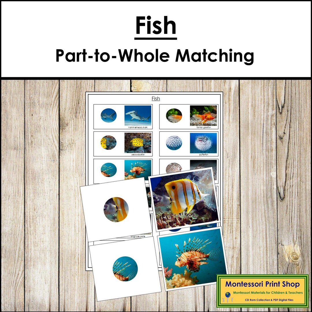 Fish Part-to-whole Matching Cards & Control Chart - Montessori Animal ...