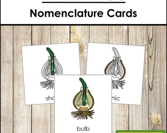 Montessori 3 Part Cards Parts of a Bison - Etsy