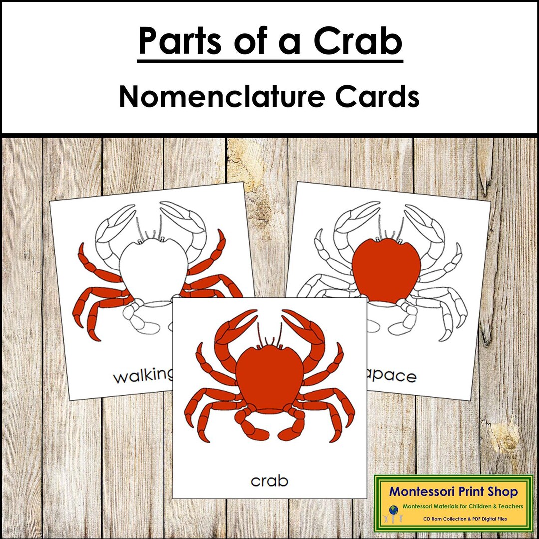 Parts of a Crab Nomenclature 3-part Cards - Montessori Zoology ...