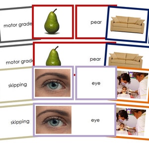 Words & Picture Cards Bundle - Primary Language - Printable Montessori ...