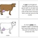 Parts of a Cow Nomenclature Book - Montessori Zoology (digital Download ...